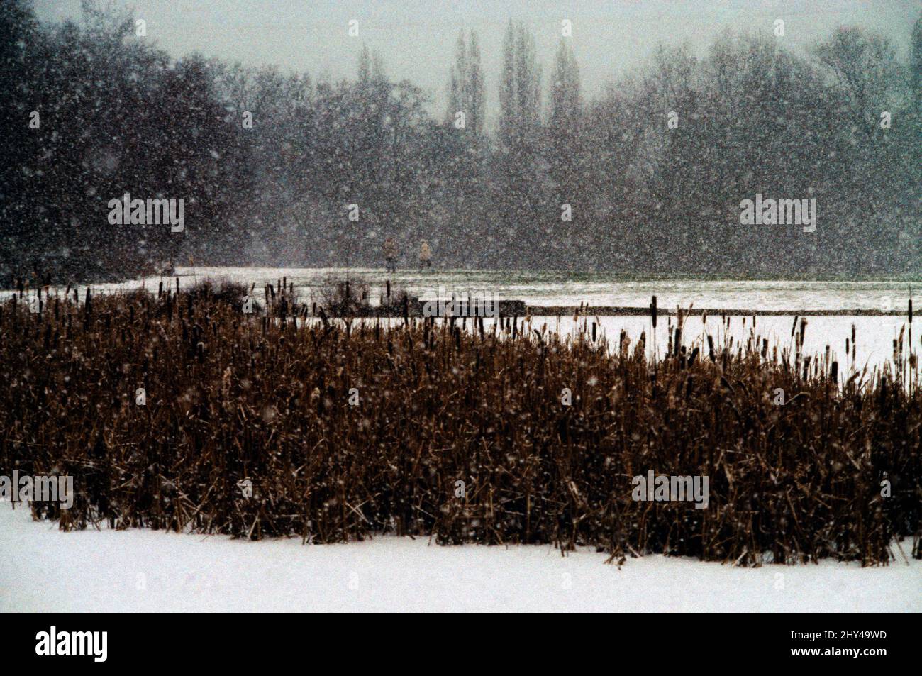 The stew ponds hi-res stock photography and images - Alamy