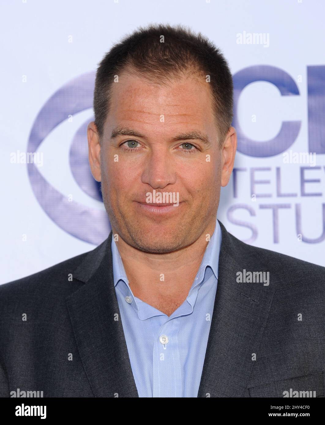 Michael Weatherly attends the CBS TV Studios Summer Soiree at the ...