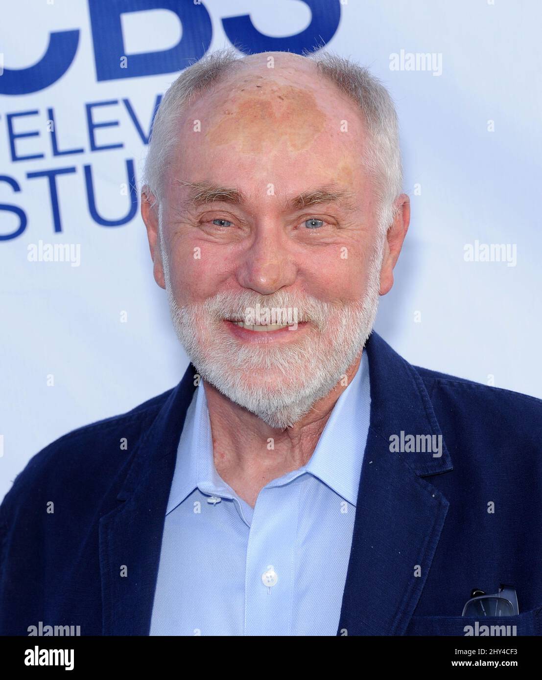 Robert David Hall attends the CBS TV Studios Summer Soiree at the ...