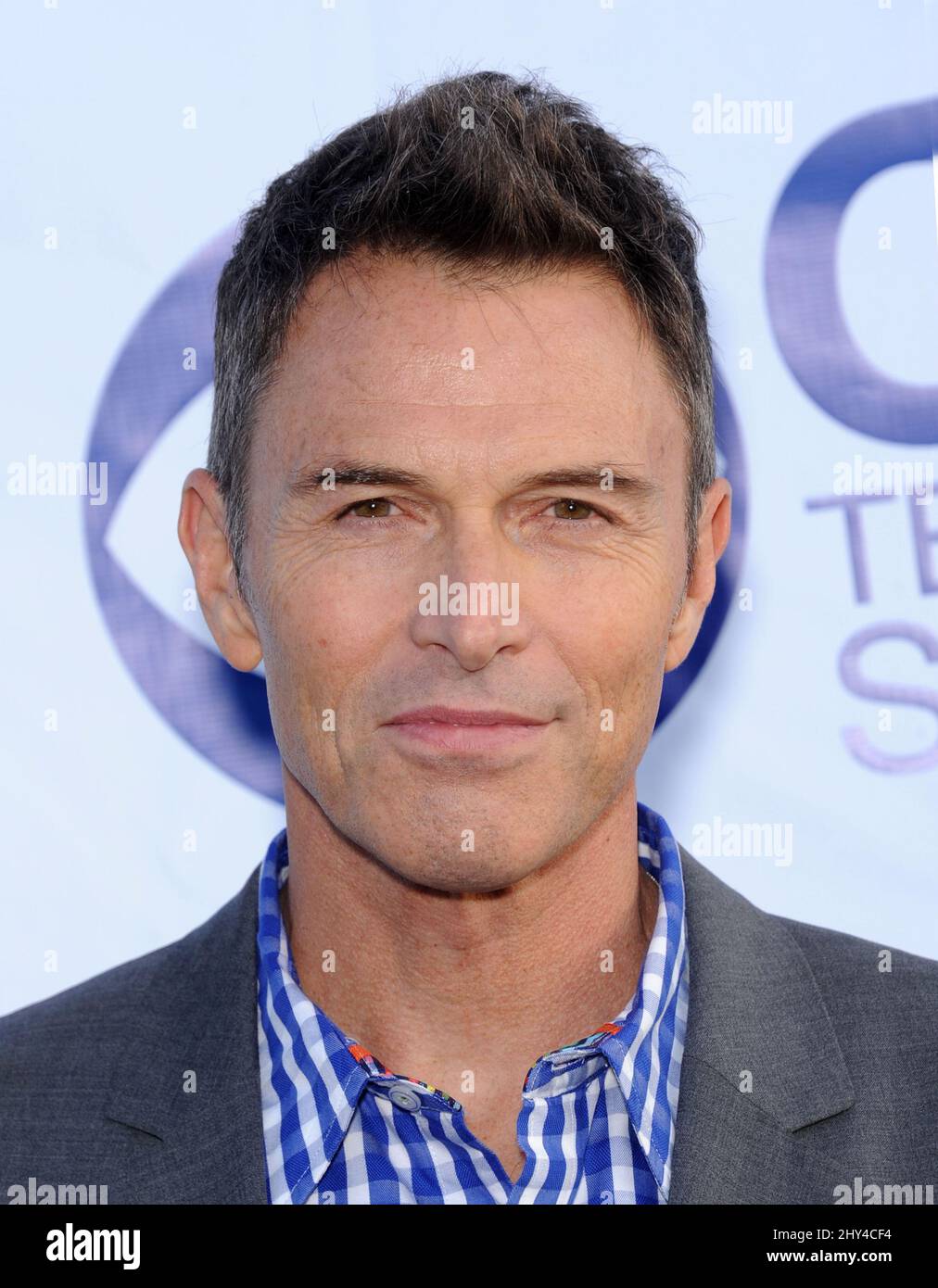Tim Daly attends the CBS TV Studios Summer Soiree at the London Hotel ...
