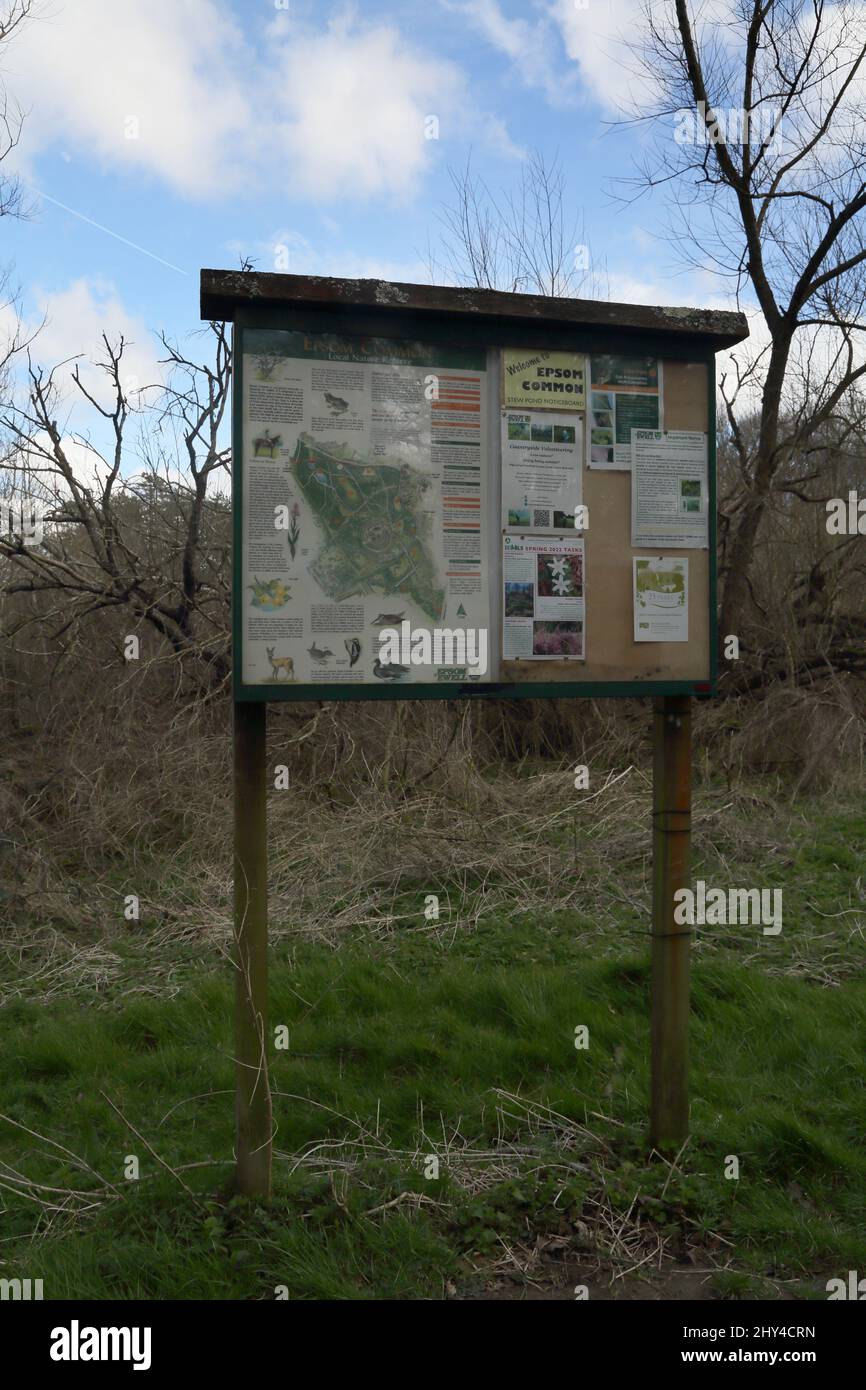 Epsom Surrey England Epsom Common Local Nature Reserve Noticeboard and ...