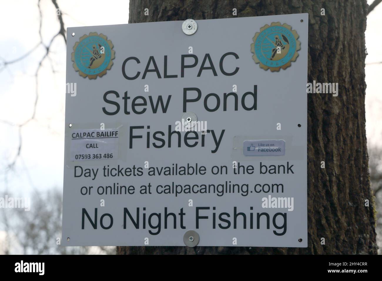 Epsom Surrey England Epsom Common Local Nature Reserve Greater Stew ...