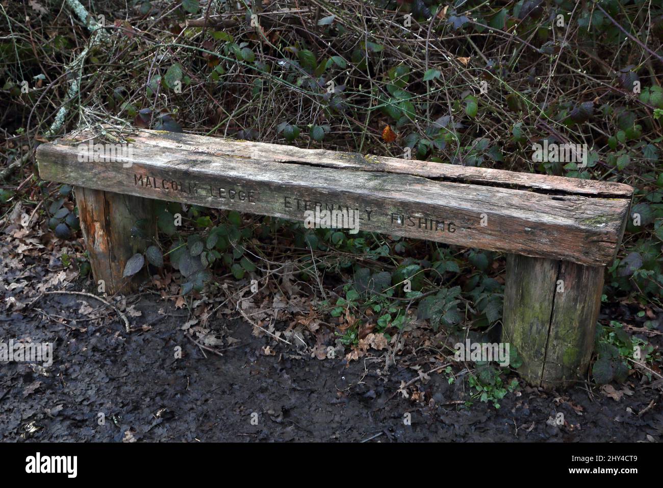 Epsom Surrey England Epsom Common Local Nature Reserve Memorial Bench ...
