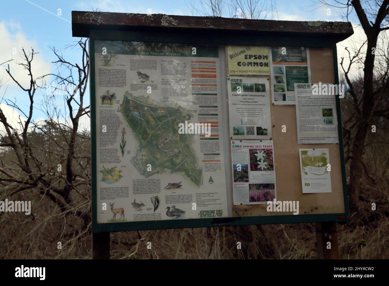 Epsom Surrey England Epsom Common Local Nature Reserve Noticeboard and ...
