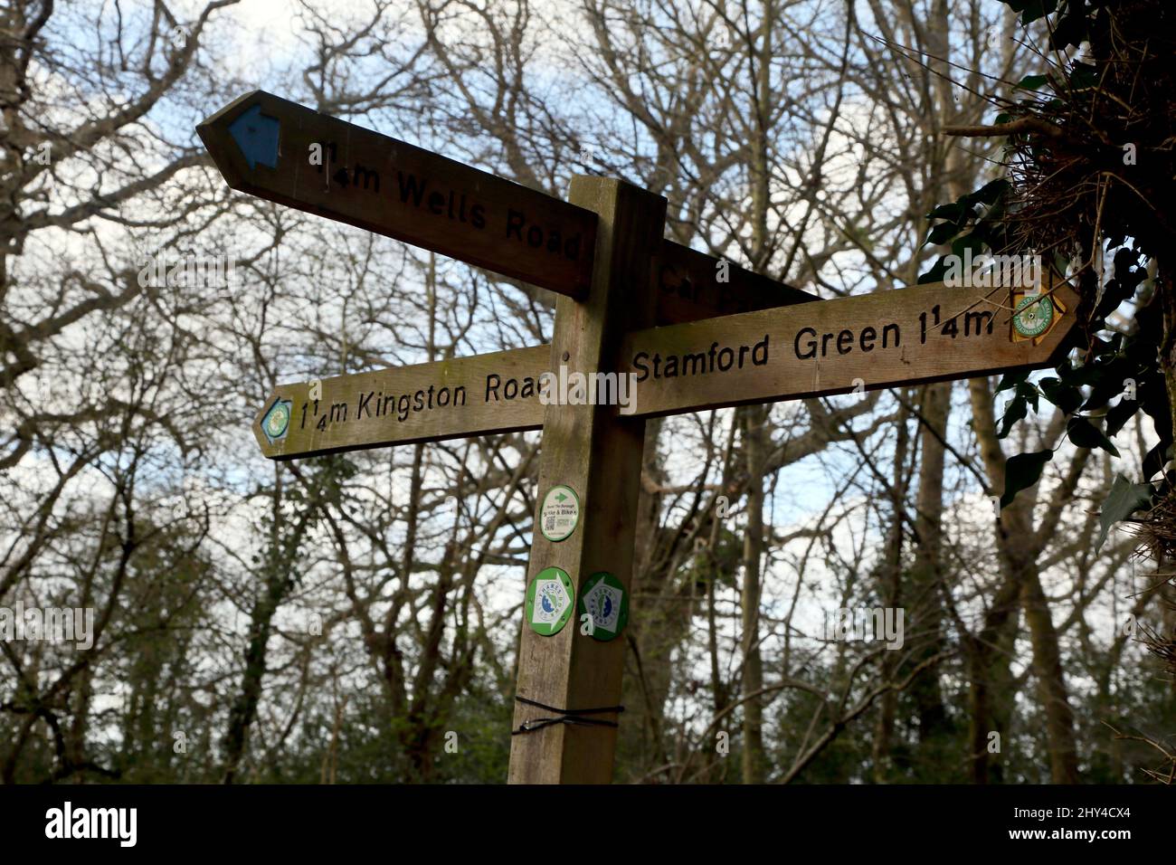 Epsom Surrey England Epsom Common Local Nature Reserve Wooden Signpost ...