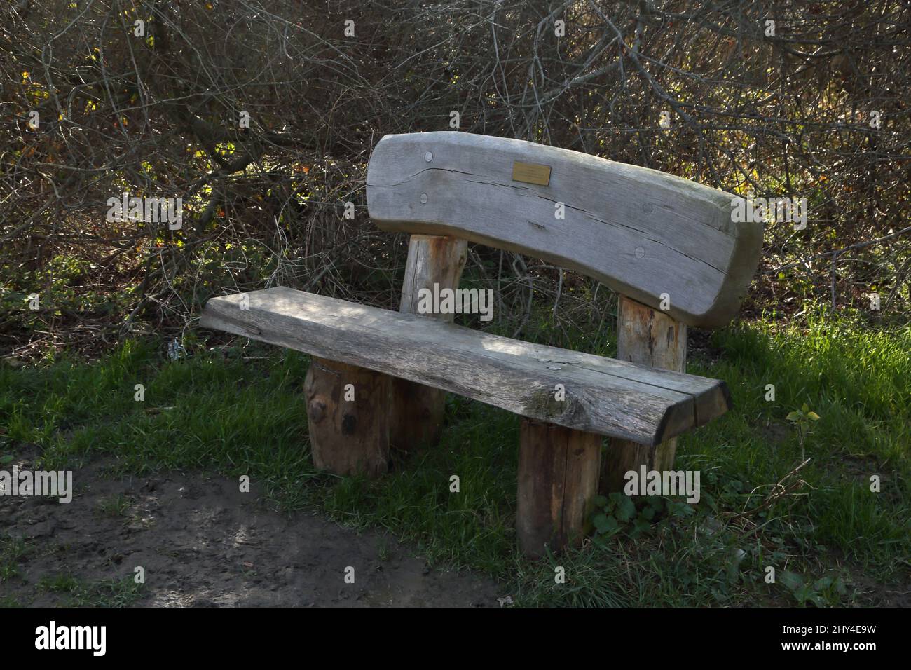 Epsom Surrey England Epsom Common Local Nature Reserve memorial Bench ...