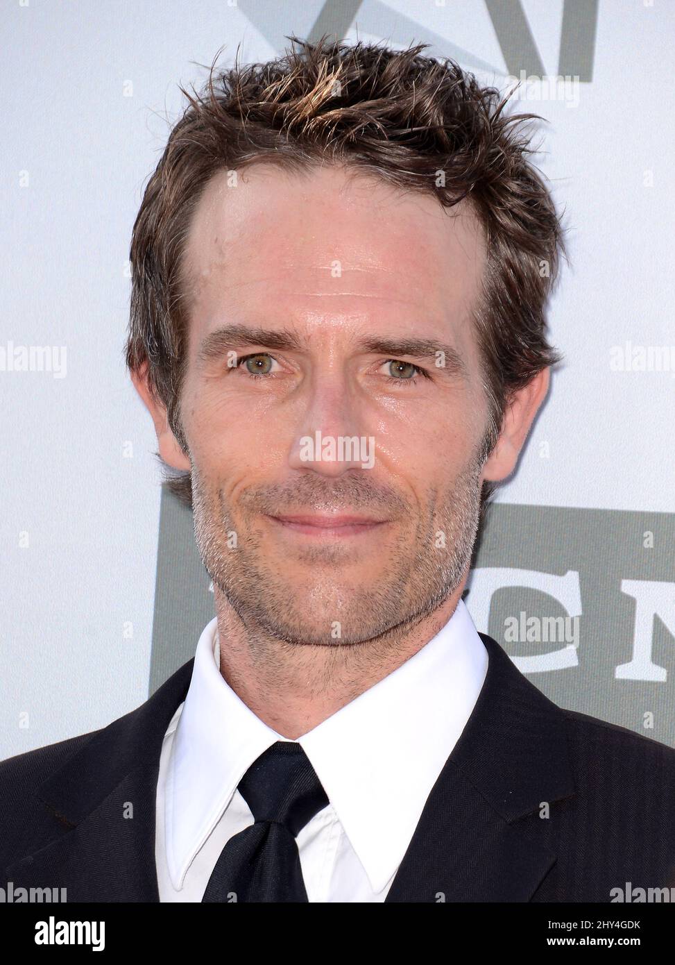Michael Vartan arrives at the 42nd AFI Lifetime Achievement Award ...