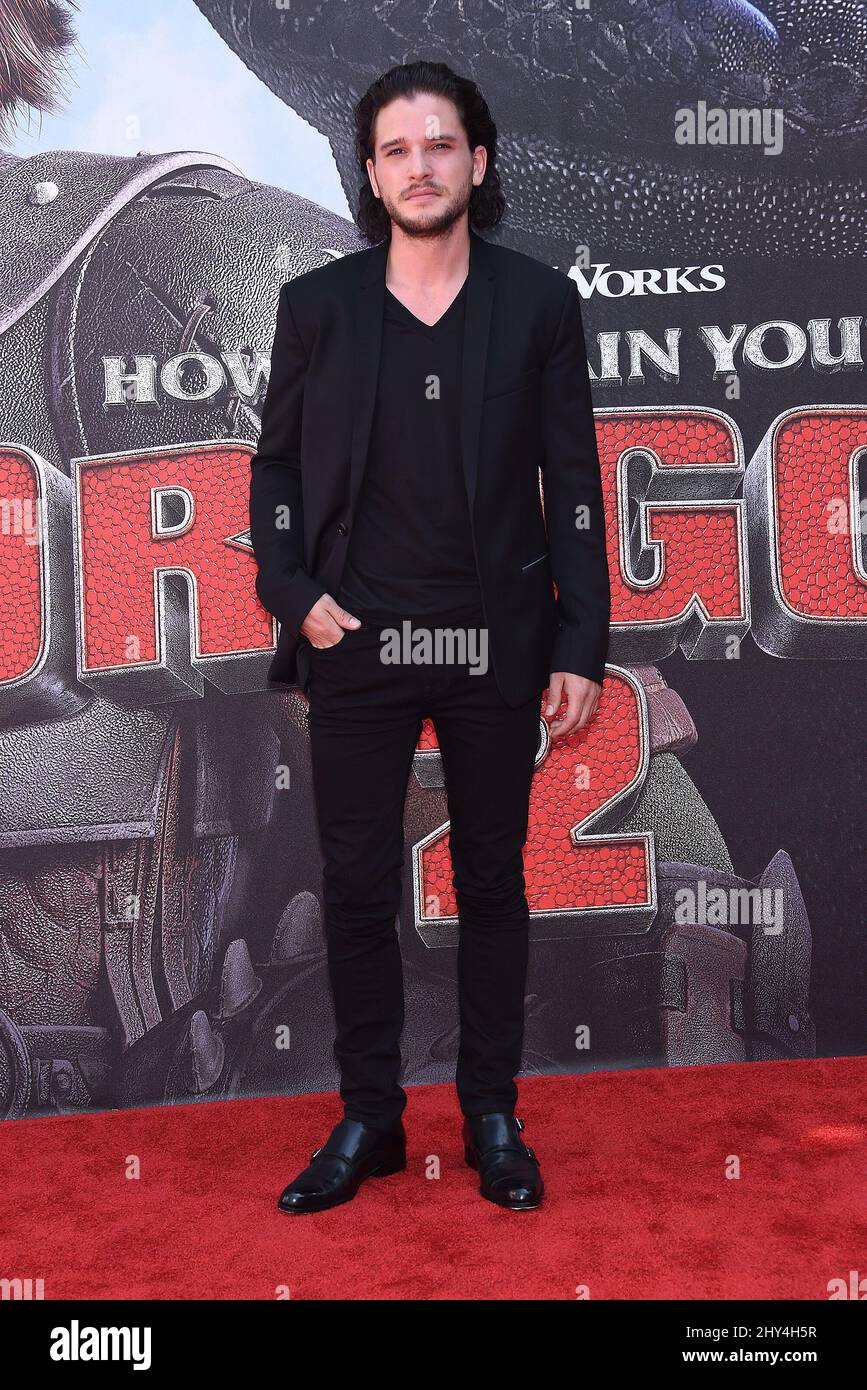 Kit Harington attends the "How To Train Your Dragon 2" Los Angeles ...