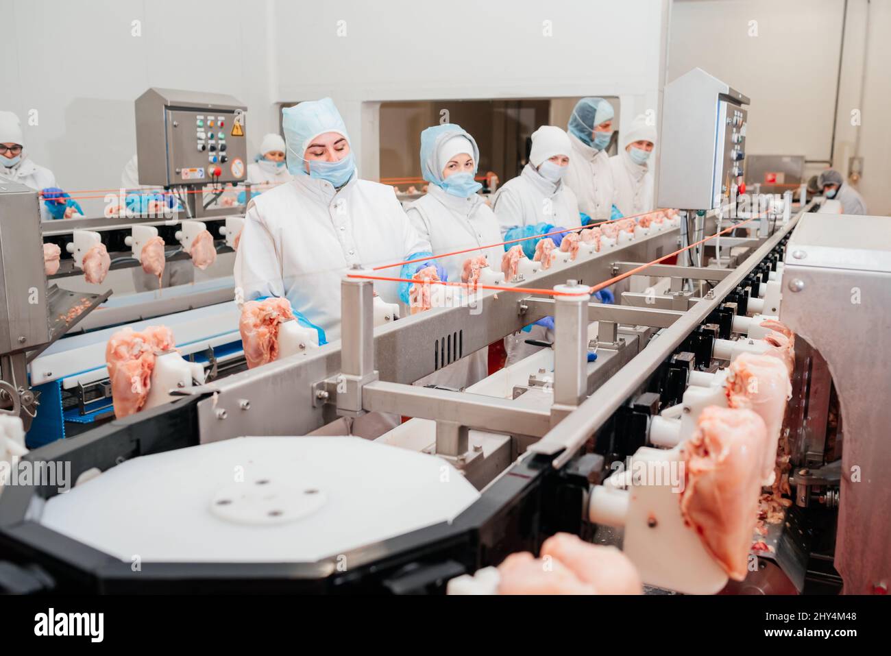 Chicken fillet production line . Factory for the production of food ...