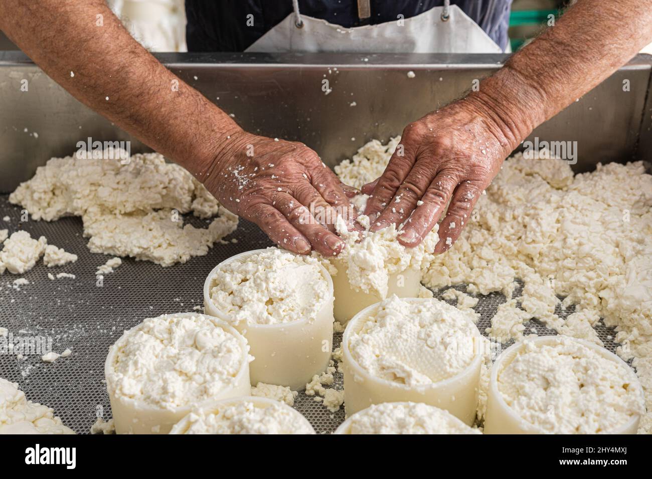 older worker presses curd with his hands into a mould Stock Photo - Alamy
