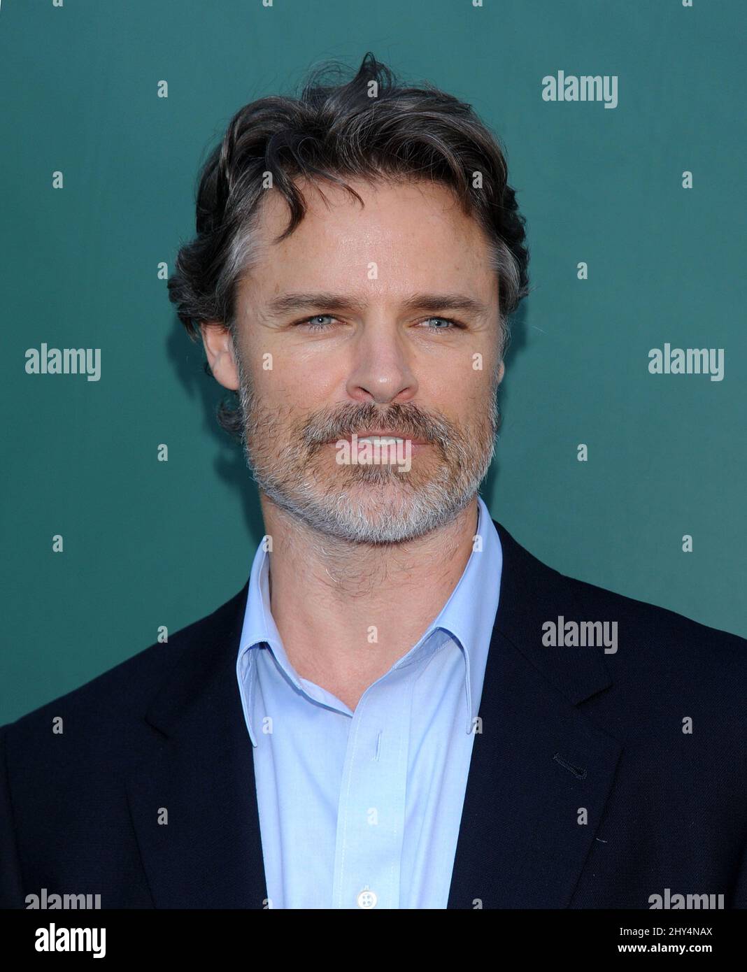 Dylan Neal attending the Summer 2014 TCA: Hallmark's "Northpole ...