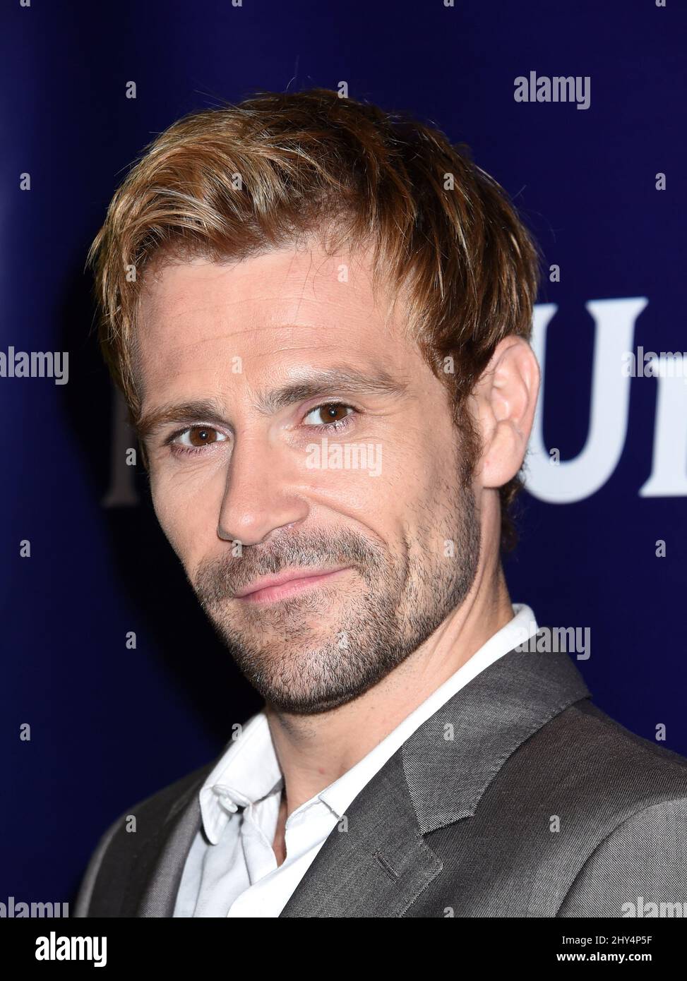 Matt Ryan attending the NBCUniversal Summer TCA Press Tour 2014 held at ...