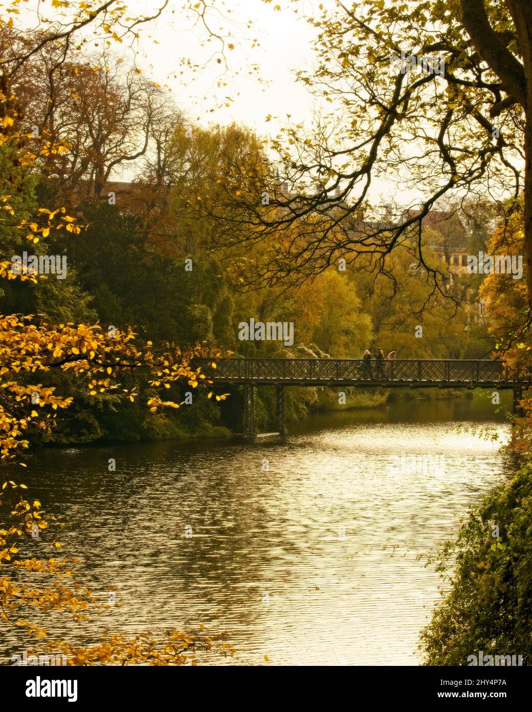 Vertical shot of a bridge over the river among trees with autumn colors ...