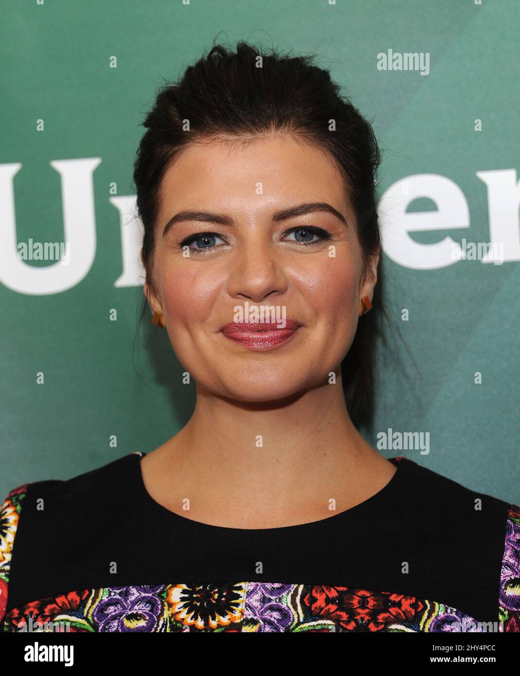 Casey Wilson attending the NBCUniversal Summer TCA Press Tour 2014 held ...