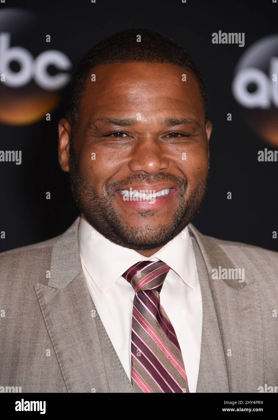 Anthony Anderson attending the ABC Summer Press Tour in Beverly Hills ...