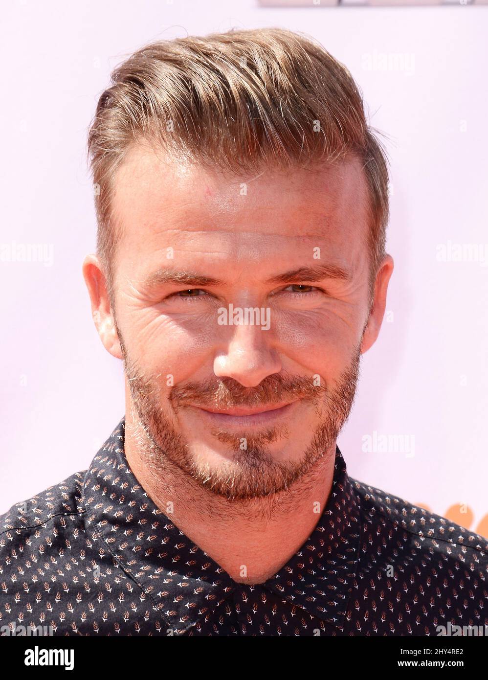 Aaron Pauley's Instagram, Twitter & Facebook on IDCrawl