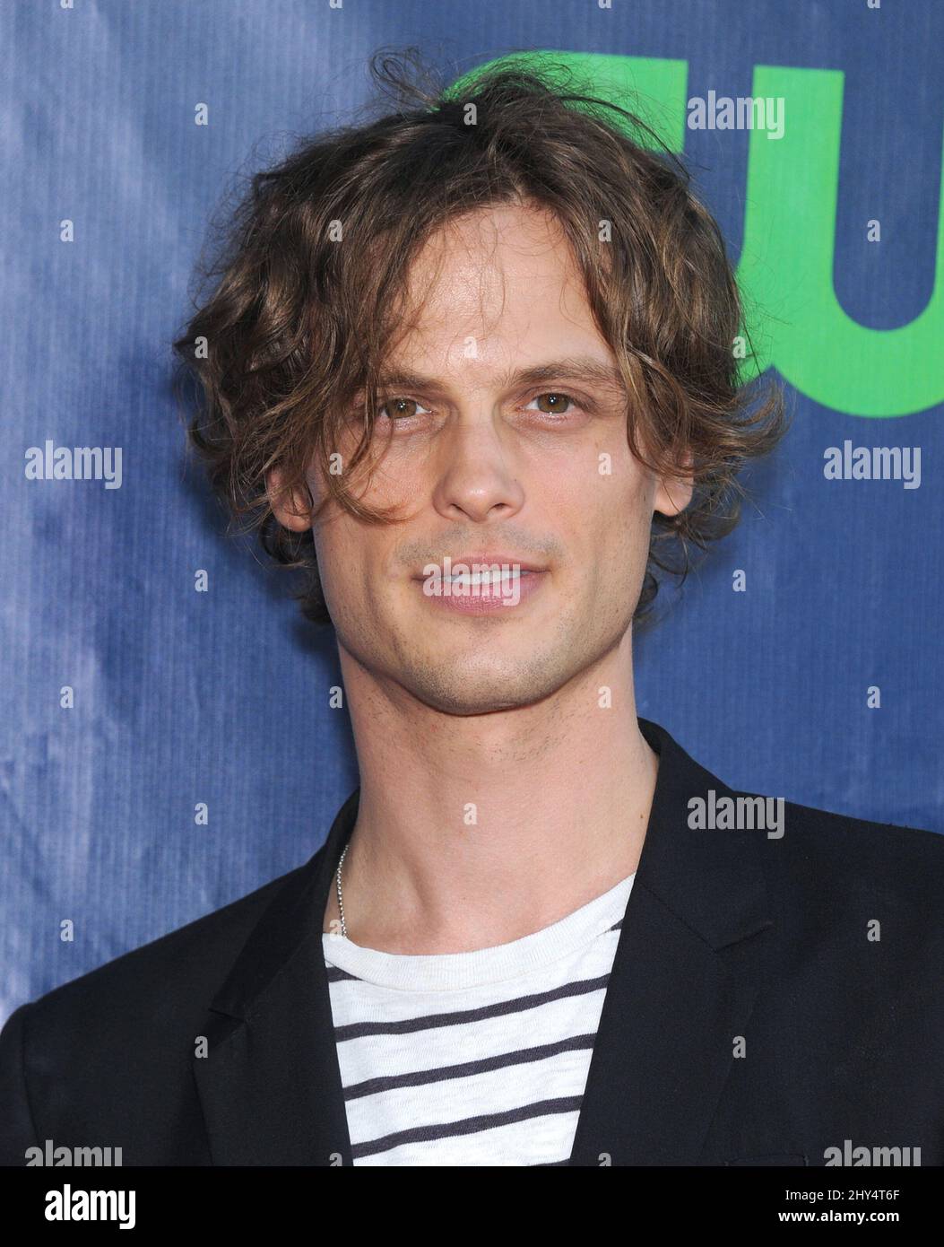 Matthew Gray Gubler attending the CBS-CW-Showtime Summer TCA Press Tour ...