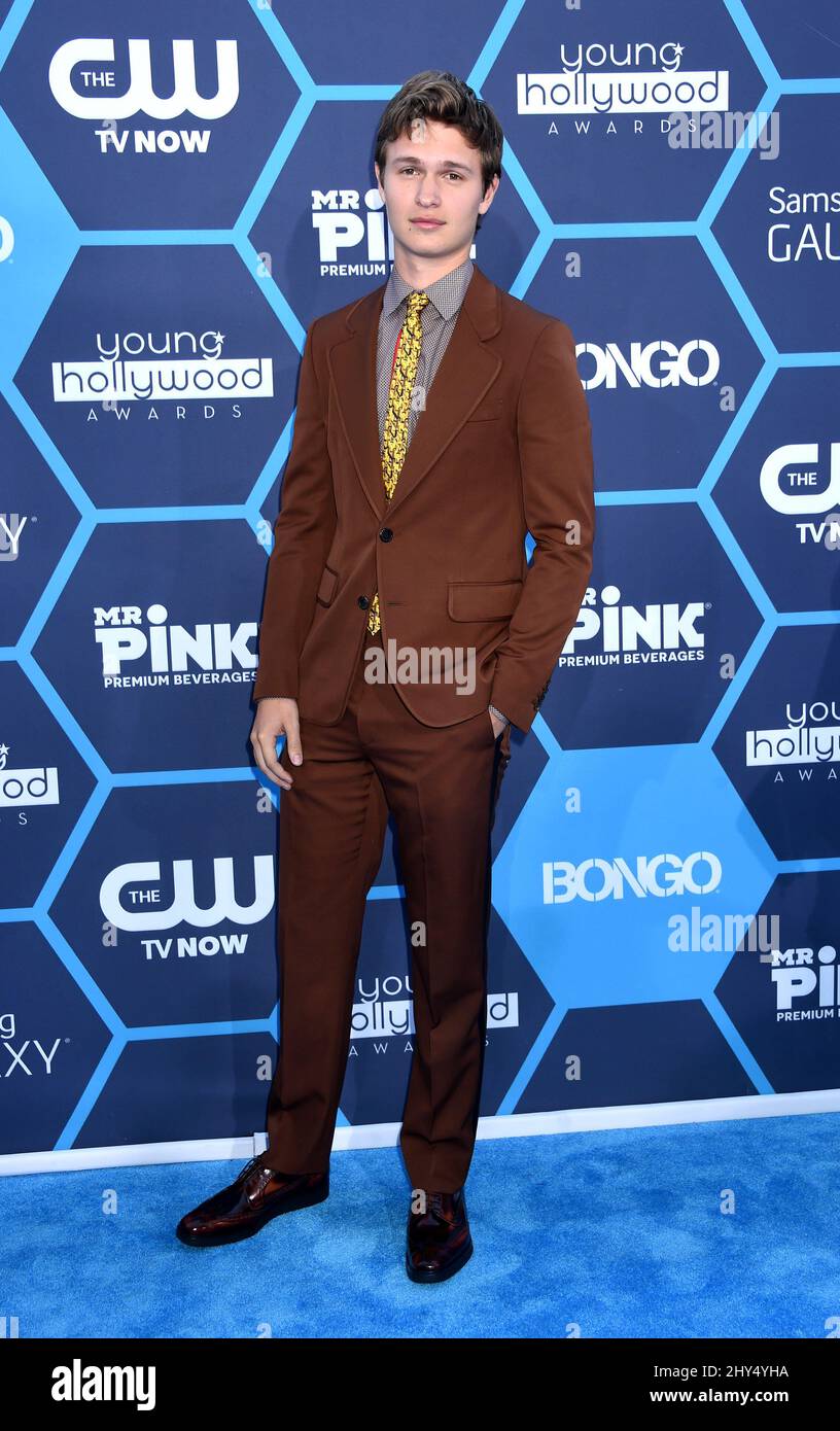 The young hollywood awards ansel hi-res stock photography and images ...