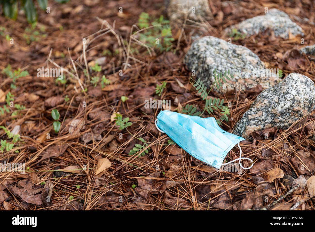 Closeup shot of a discarded blue covid mask on a park floor Stock Photo ...