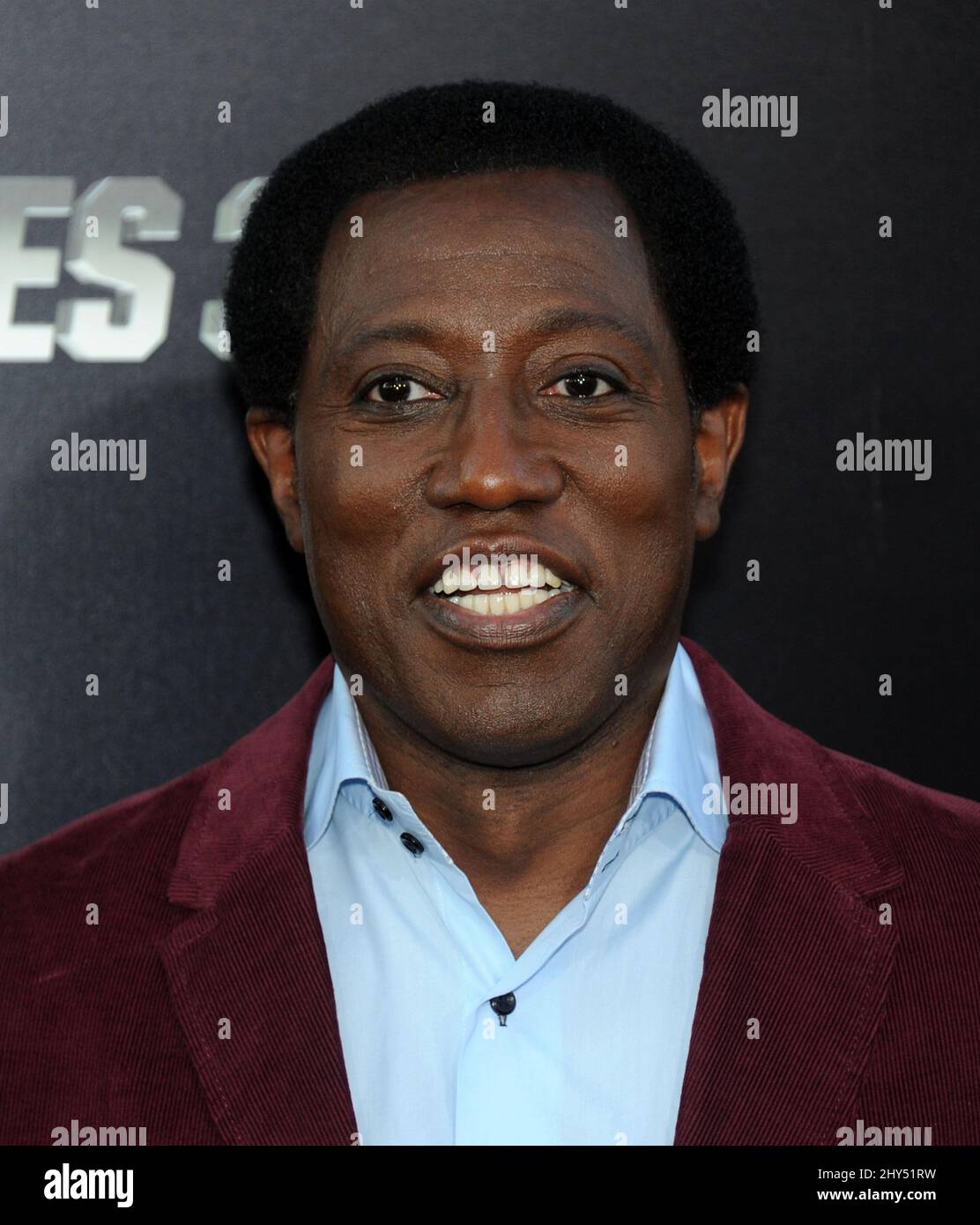 Wesley Snipes Beard Expendables 3