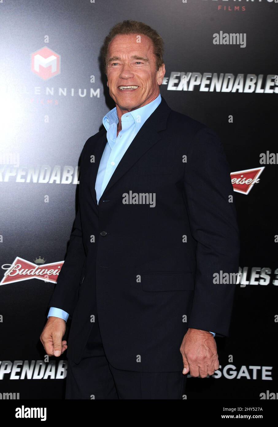 Arnold Schwarzenegger Expendables 3