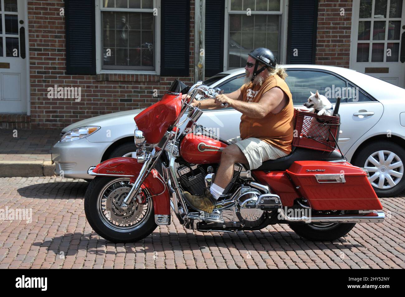 Man on his Harley Davidson motorcycle riding down the street with his ...