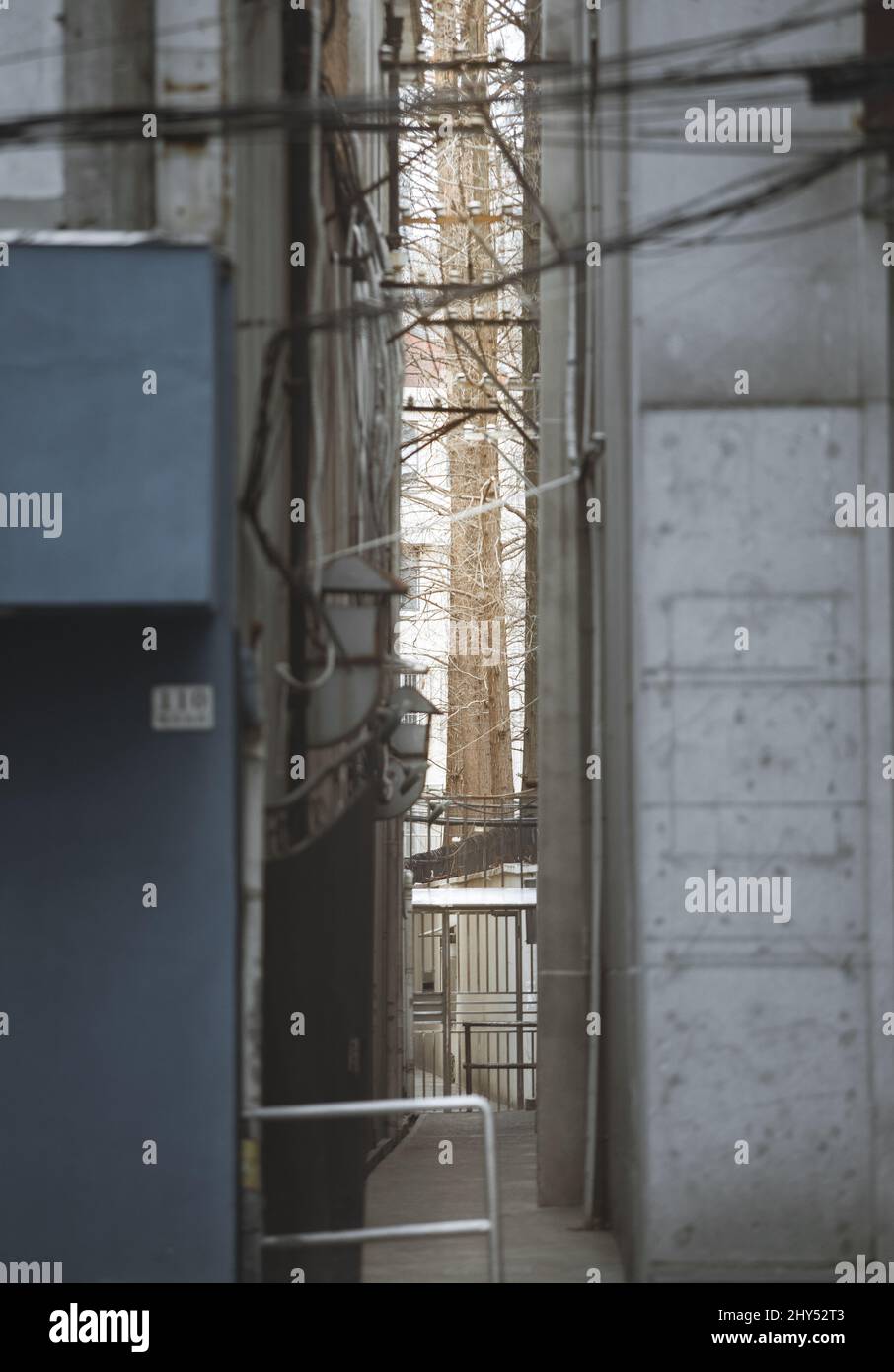 Wires in the small space between buildings Stock Photo - Alamy