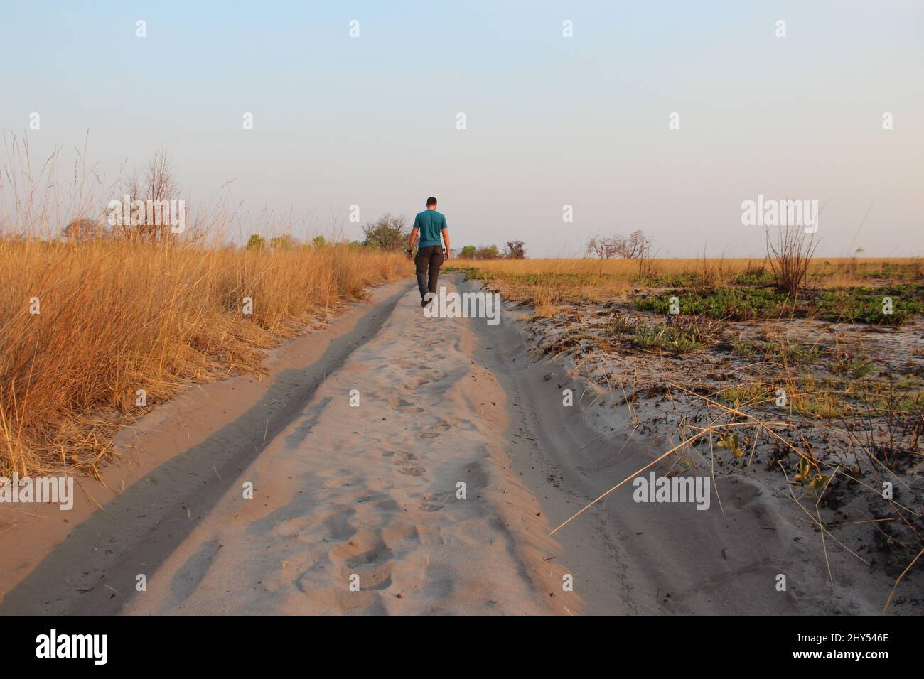 A rear view of the young man in the sandy field with dry greenery at ...