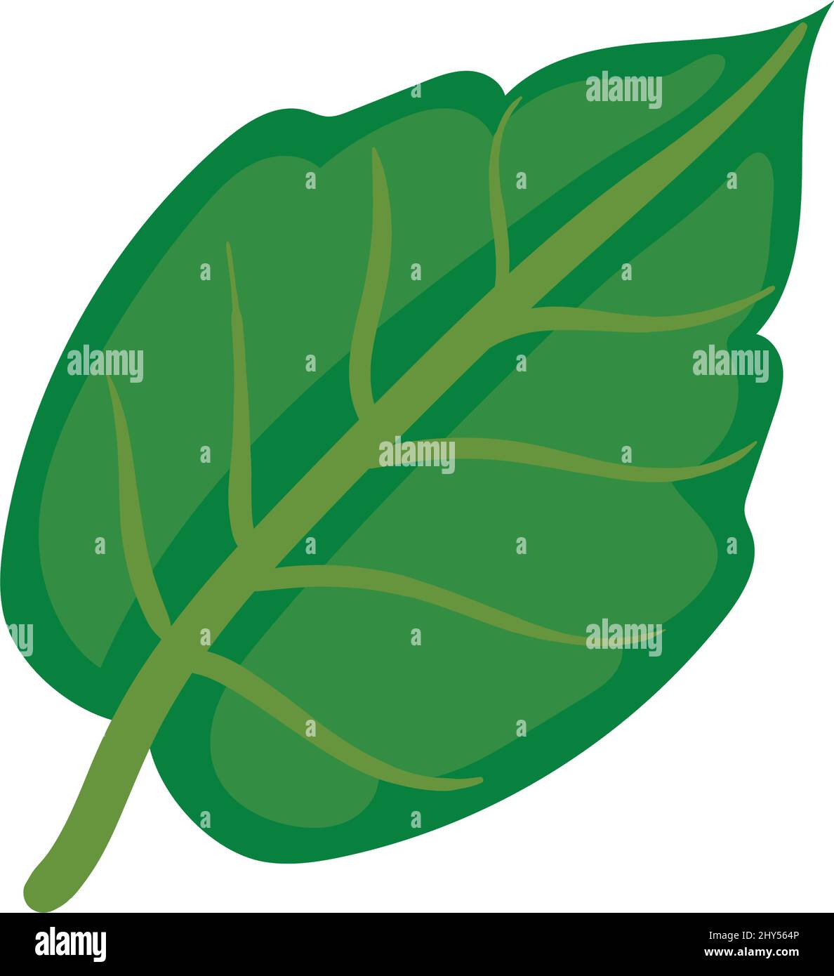 green leaf design Stock Vector Image & Art - Alamy