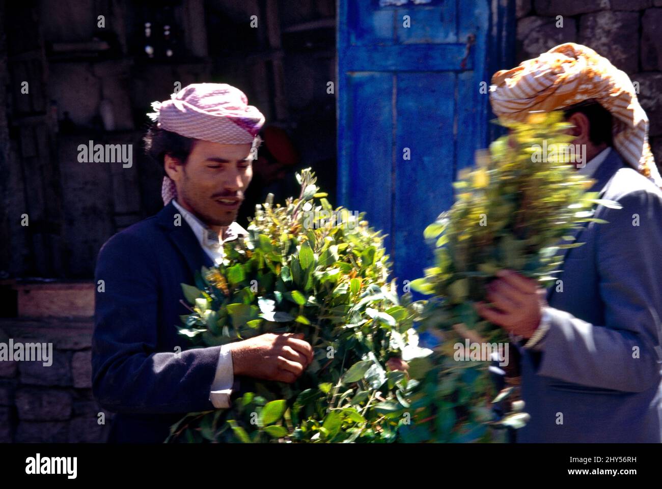 Qat quat hi-res stock photography and images - Alamy