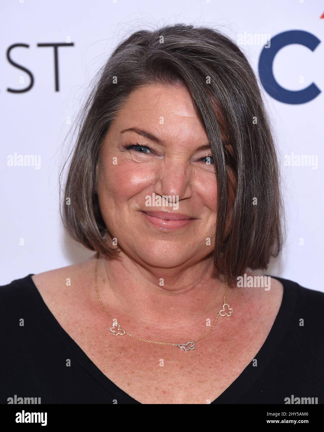 Mindy Cohn Attending Paley Fall Flashback High Resolution Stock ...