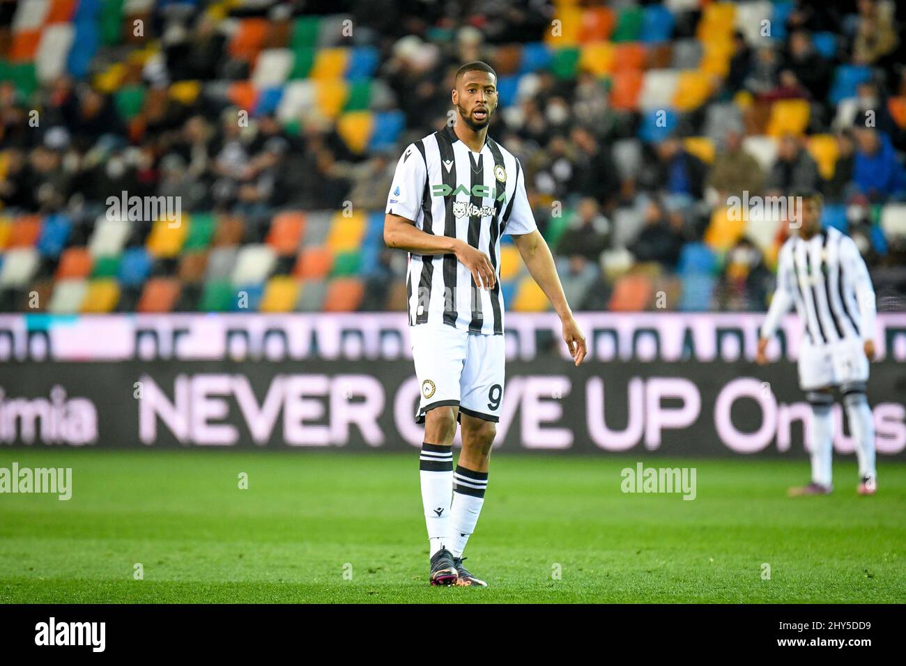 Beto betuncal portrait hi-res stock photography and images - Alamy
