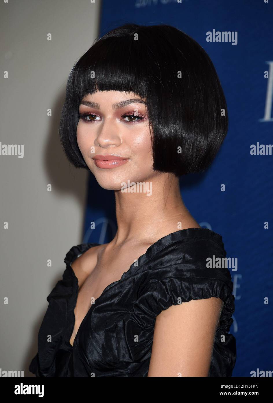Zendaya Coleman attends the 2014 Princess Grace Awards Gala, Los ...