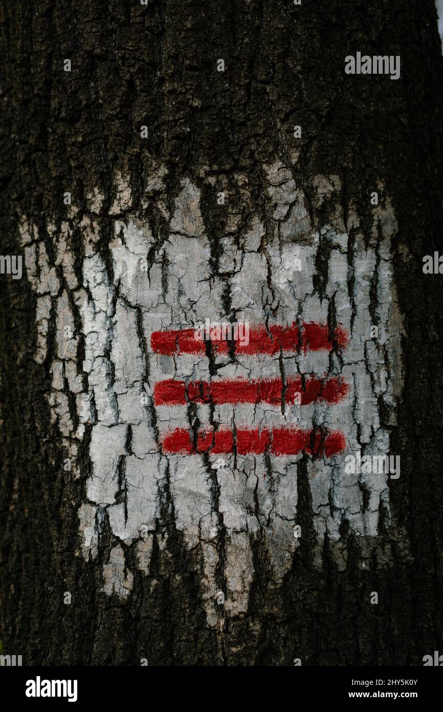 Three red stripes hi-res stock photography and images - Alamy