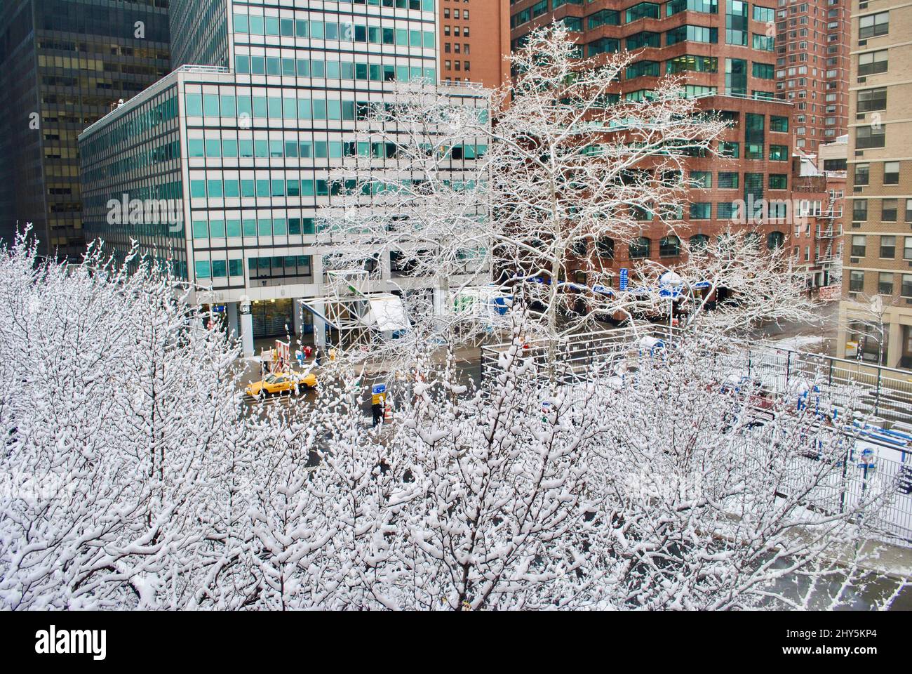 Titanic Memorial Park surrounded by snow-covered trees in downtown ...
