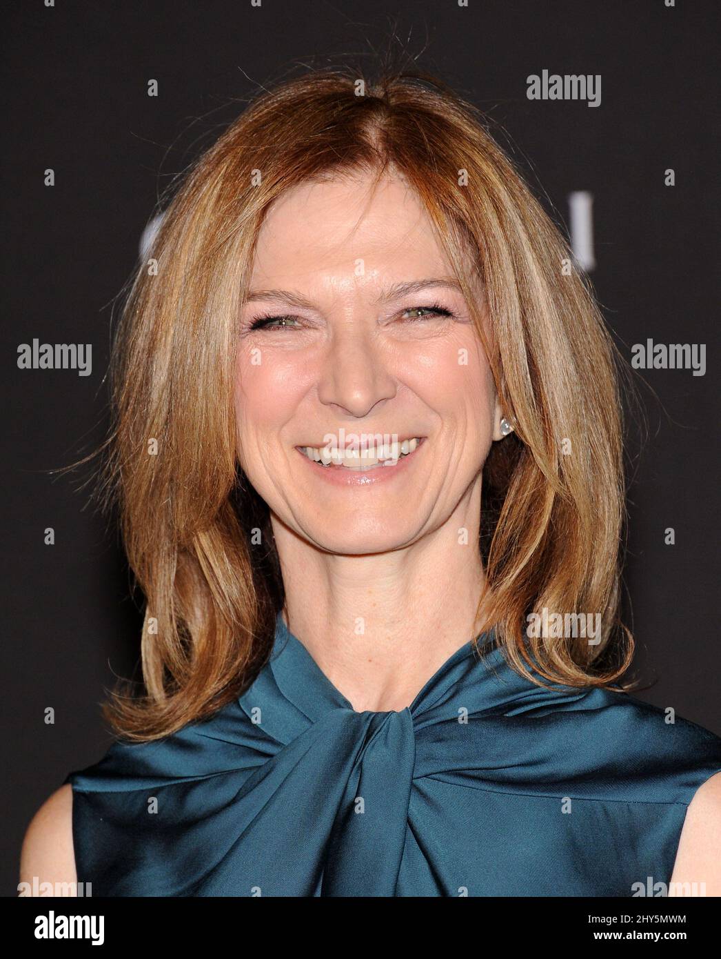 Dawn Hudson attends the 2014 LACMA Art + Film Gala at the LACMA, Los ...