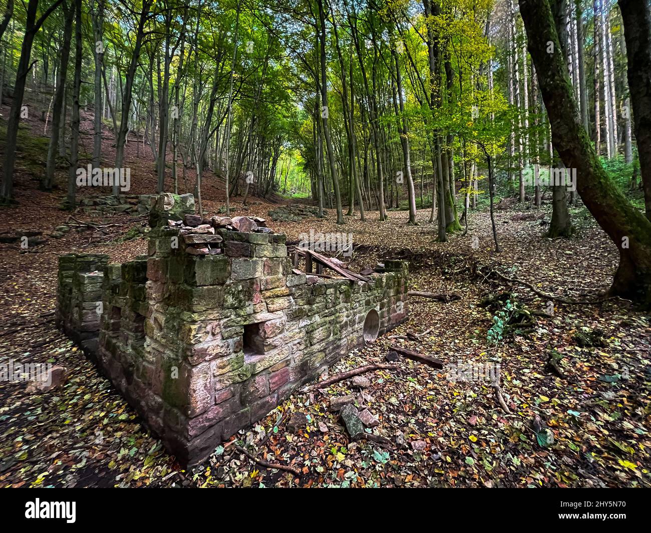 Ruins of an old brick structure in the forest Stock Photo - Alamy