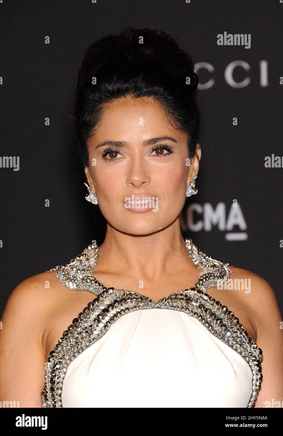 Salma Hayek attends the 2014 LACMA Art + Film Gala at the LACMA, Los ...
