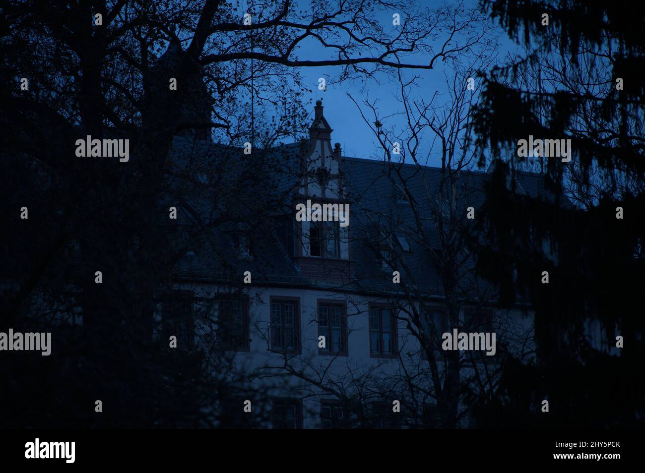 Castle in Germany in the dark night Stock Photo - Alamy