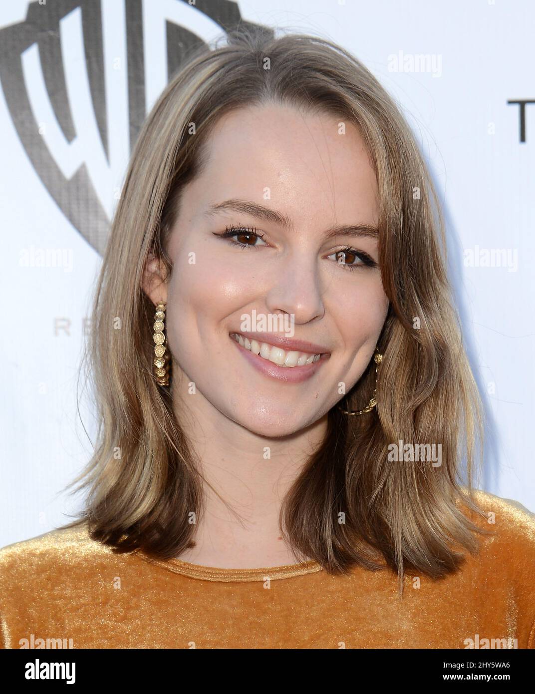 Bridgit Mendler With Brown Hair