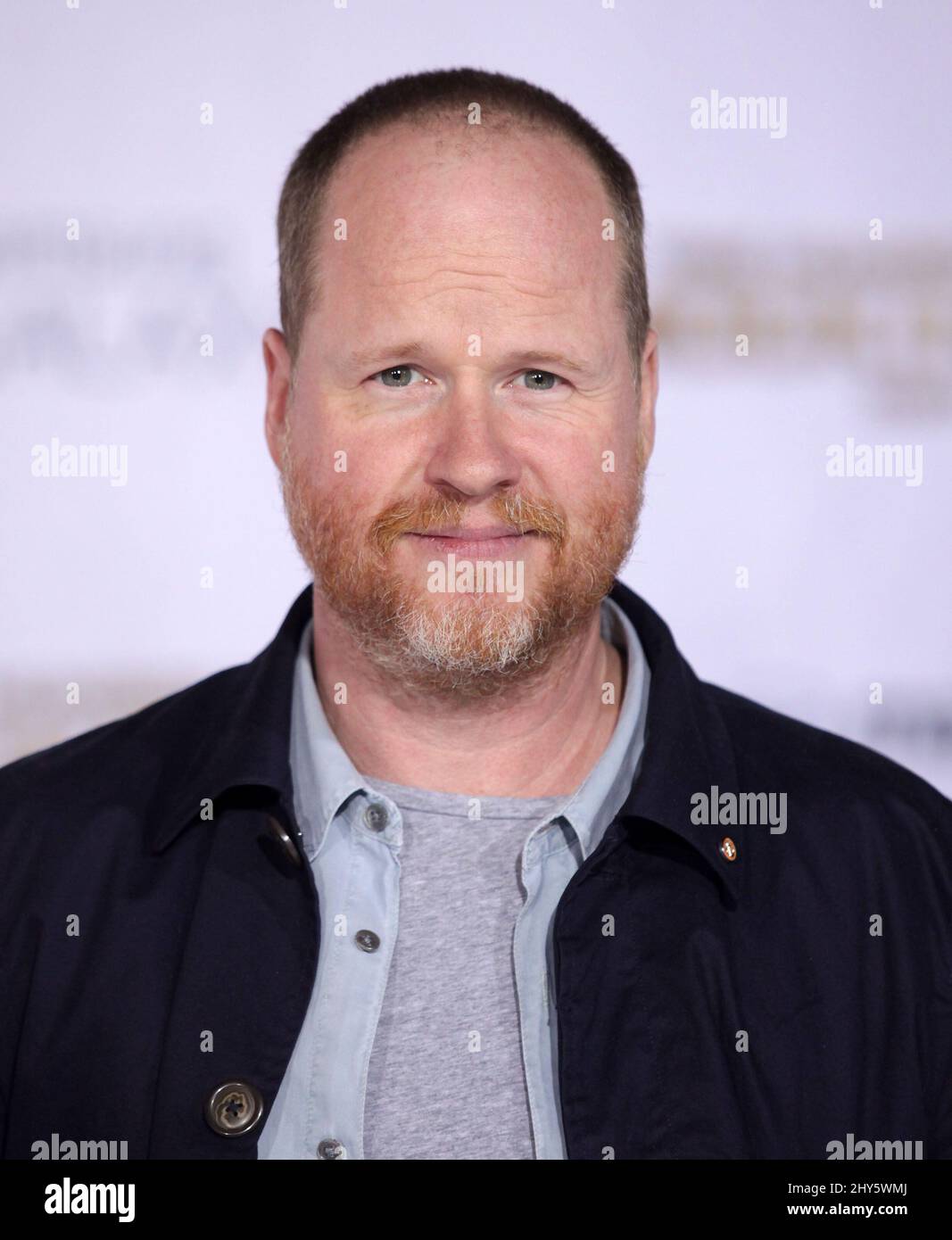 Joss Whedon attending "The Hunger Games: Mockingjay - Part 1" Premiere ...