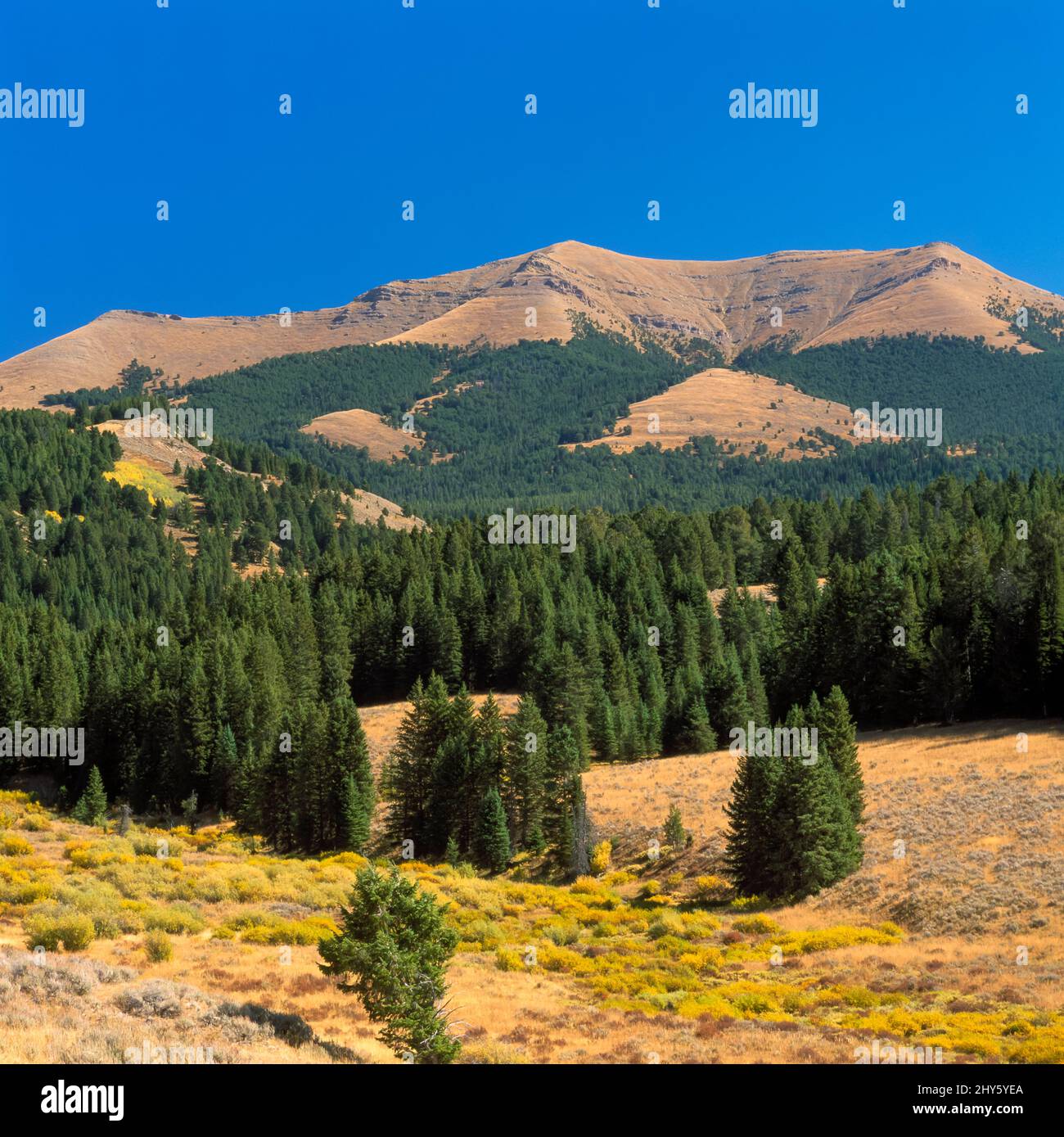 Antone peak hi-res stock photography and images - Alamy