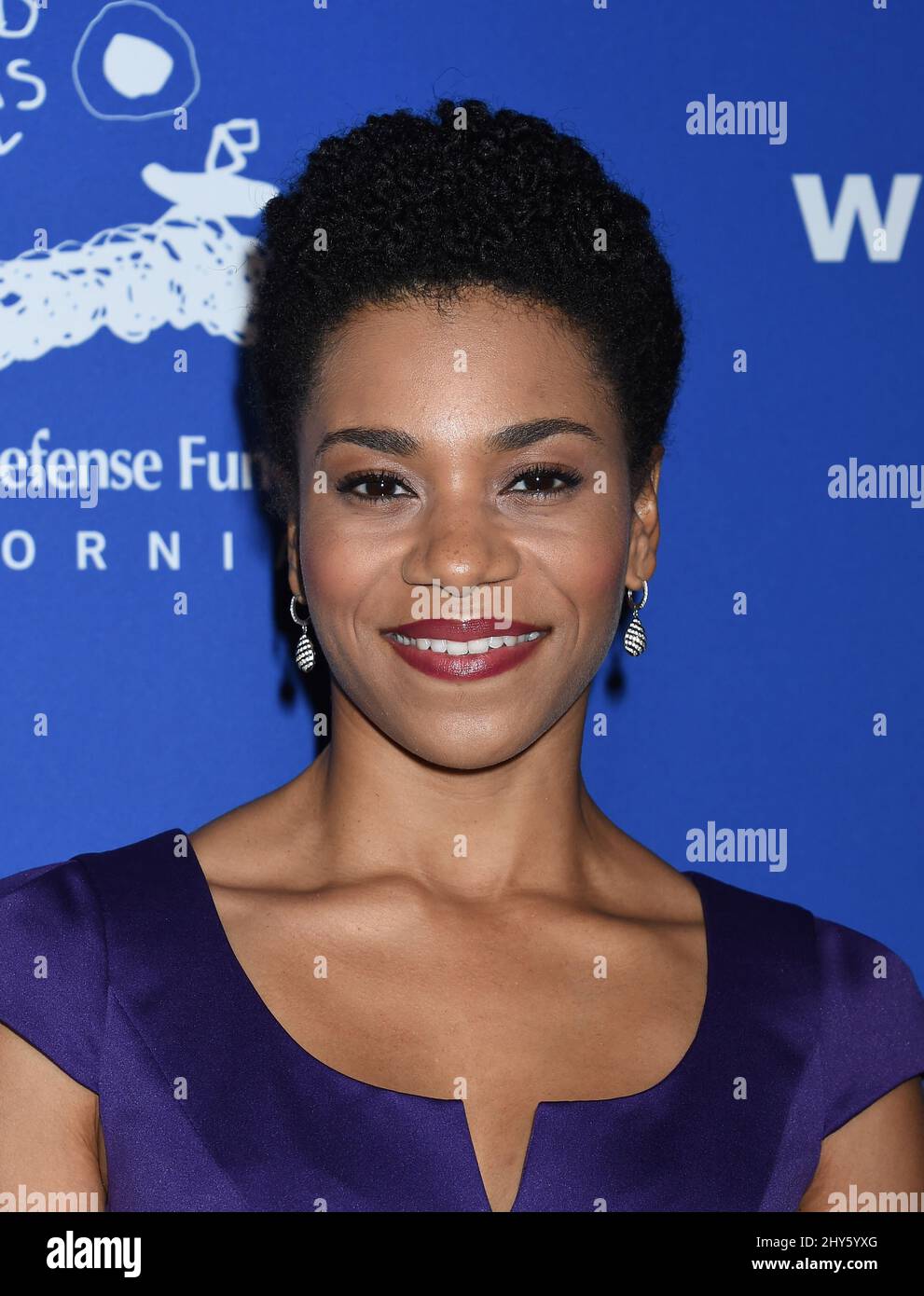 Kelly McCreary arriving for the Children's Defense Fund 24th Annual ...