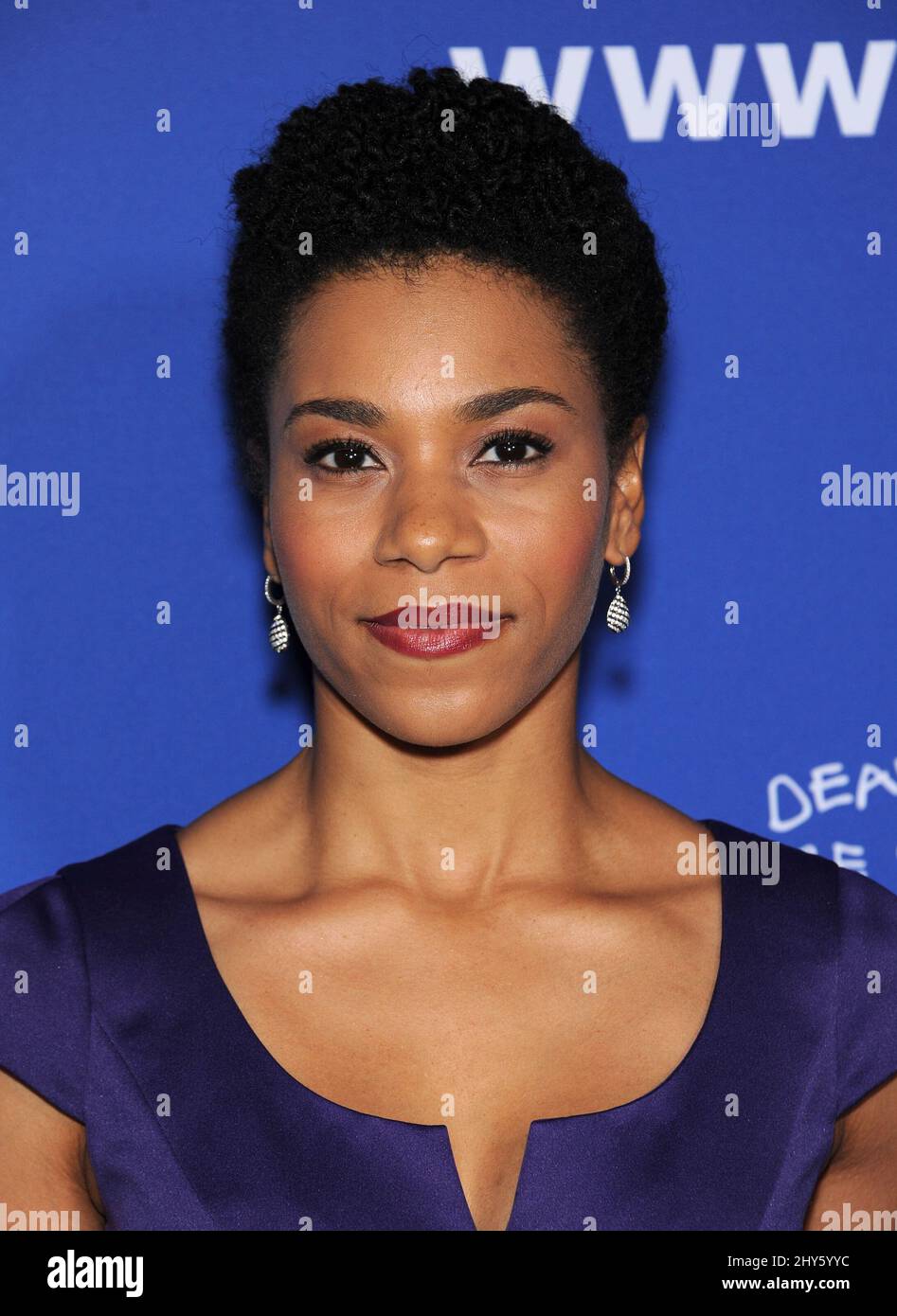 Kelly McCreary arriving for the Children's Defense Fund 24th Annual ...