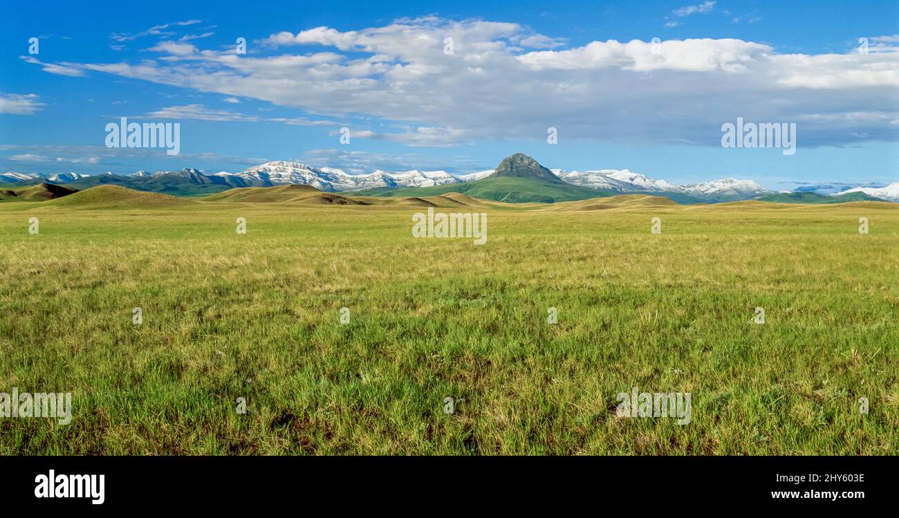 2992 hi-res stock photography and images - Alamy