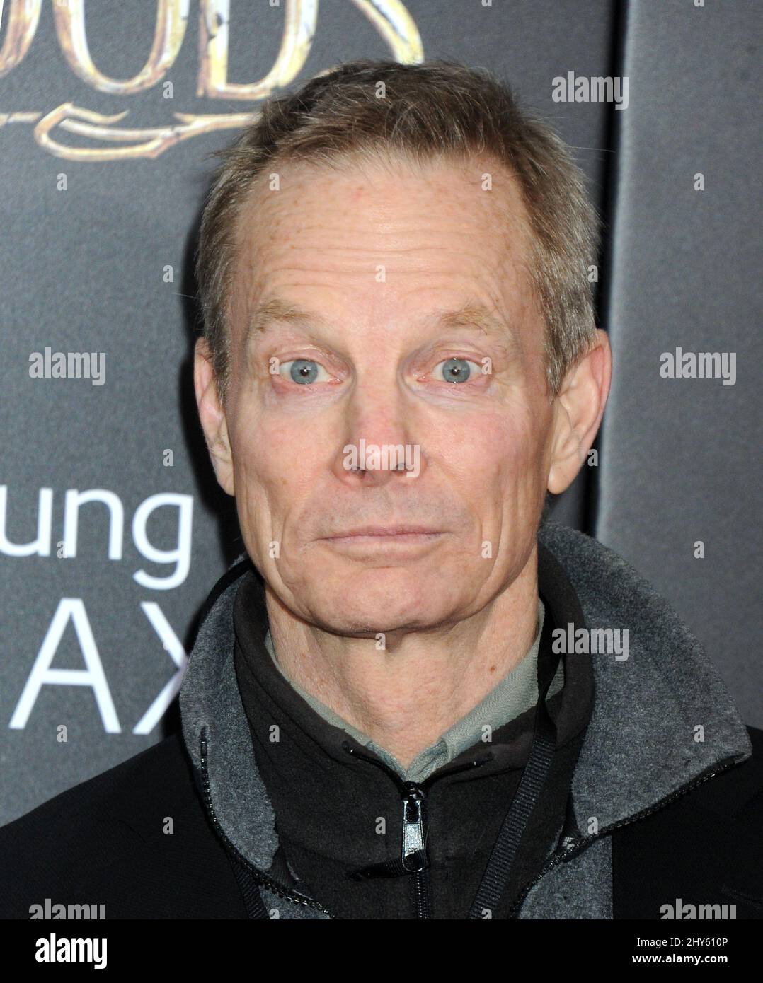 Bill Irwin attending the "Into The Woods" World Premiere at the ...