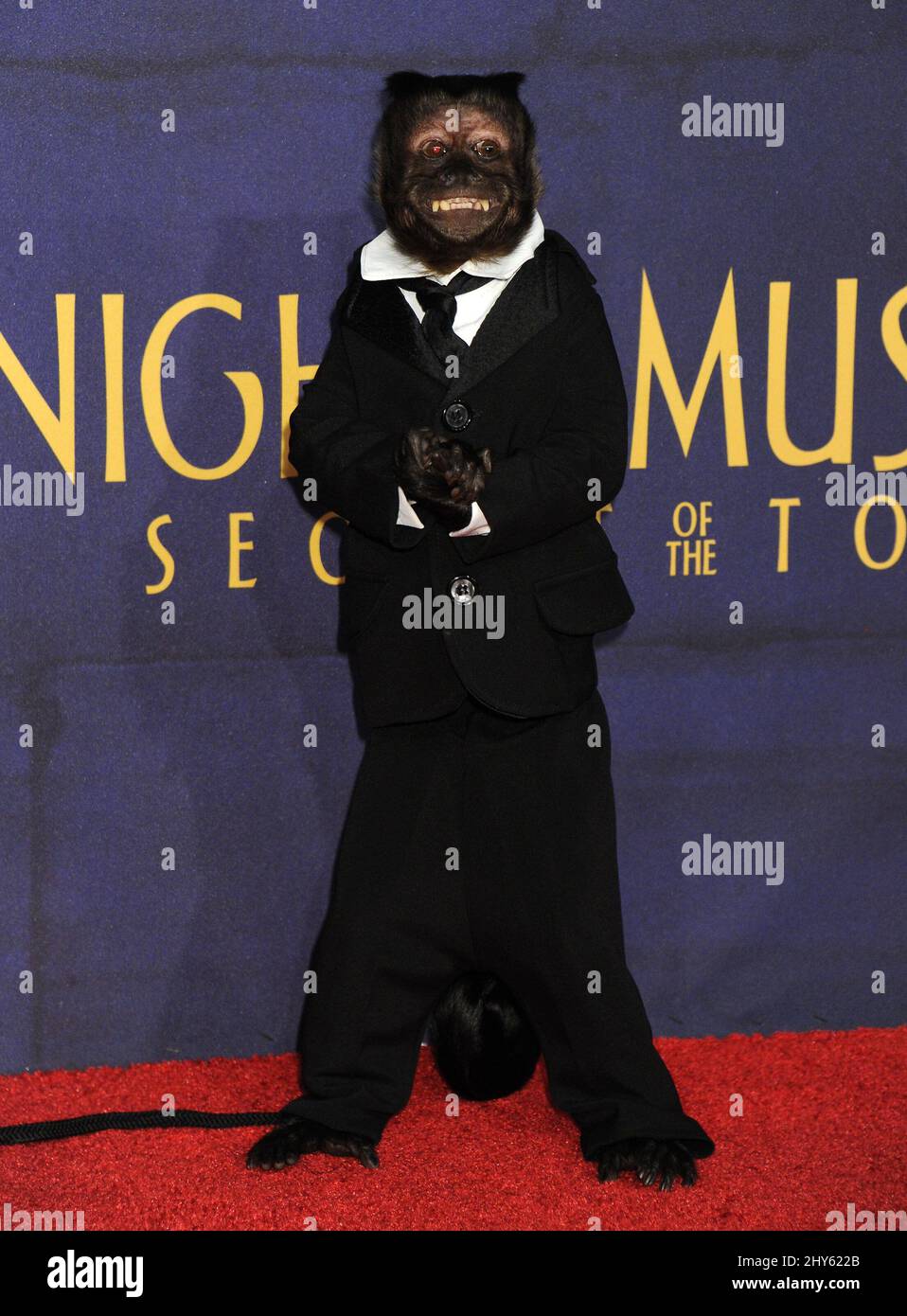 Monkey Crystal aka Dexter attending "Night At The Museum: Secret of The ...