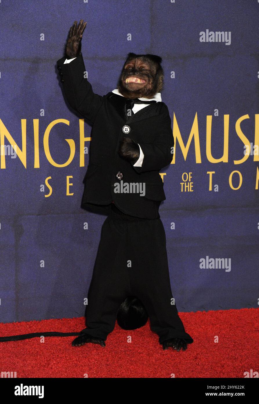 Monkey Crystal aka Dexter attending "Night At The Museum: Secret of The ...