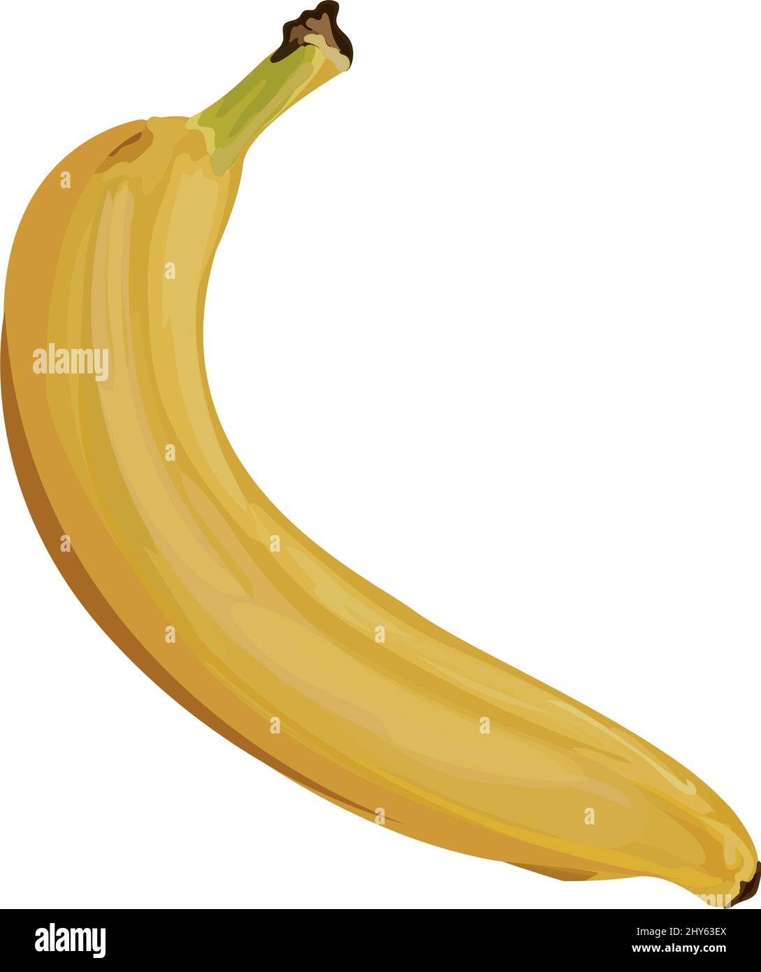realistic banana design Stock Vector Image & Art - Alamy