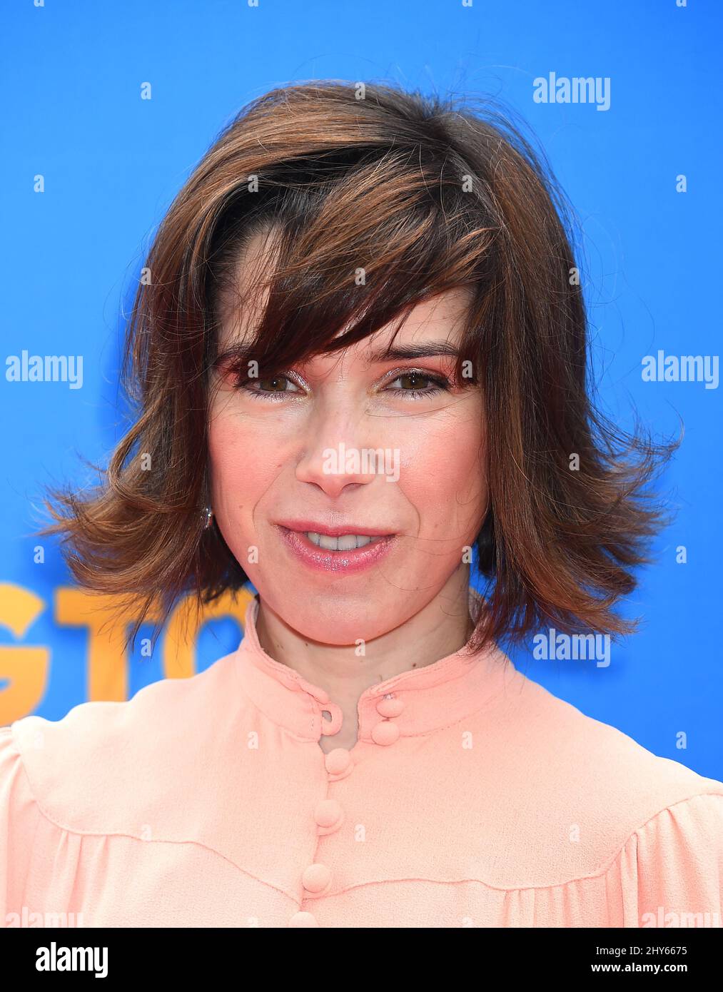 Sally Hawkins arriving for the Paddington Los Angeles Premiere held at ...